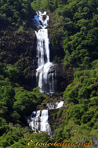 Cascades en série | L'Oasis de Nat : Un regard sur le monde du bout de ...