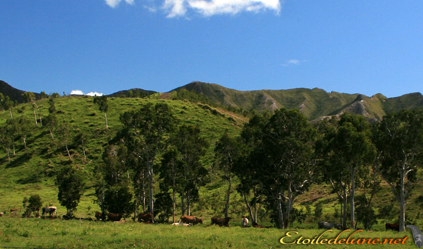 Poum à Pum! | L'Oasis de Nat : Un regard sur le monde du bout de la ...