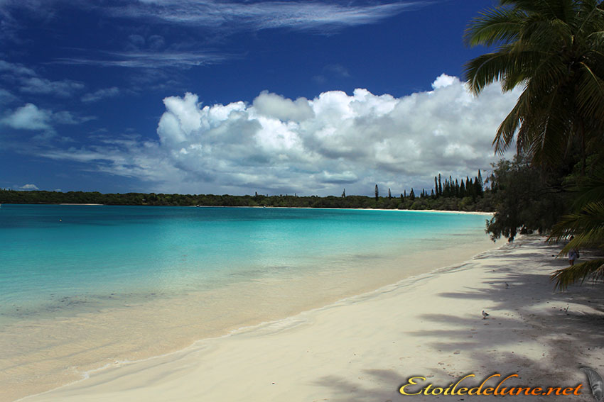 Kuto, les enfants de la Terre | L'Oasis de Nat : Un regard sur le monde ...