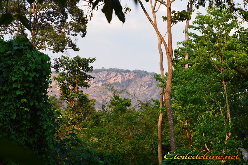 Pak Chong | L'Oasis de Nat : Un regard sur le monde du bout de la plume ...