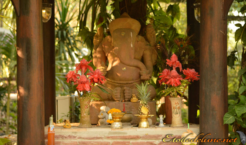 Pak Chong | L'Oasis de Nat : Un regard sur le monde du bout de la plume ...