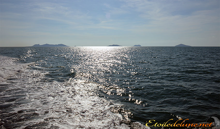 Qu'il est long le voyage! | L'Oasis de Nat : Un regard sur le monde du ...