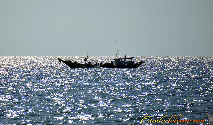 Qu'il est long le voyage! | L'Oasis de Nat : Un regard sur le monde du ...
