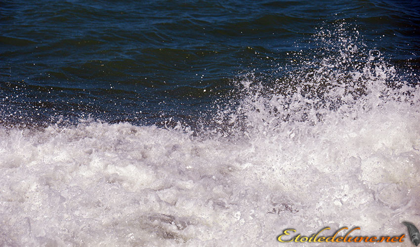 Qu'il est long le voyage! | L'Oasis de Nat : Un regard sur le monde du ...