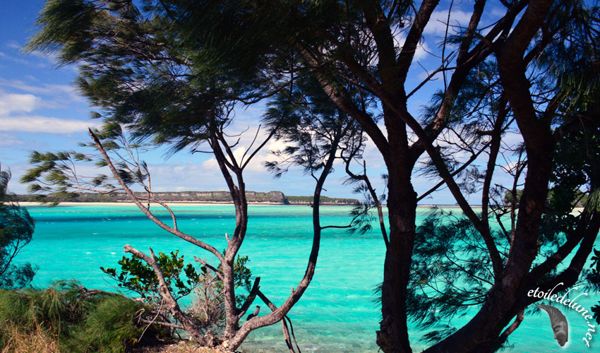 Ouvéa, le paradis parfait | L'Oasis de Nat : Un regard sur le monde du ...