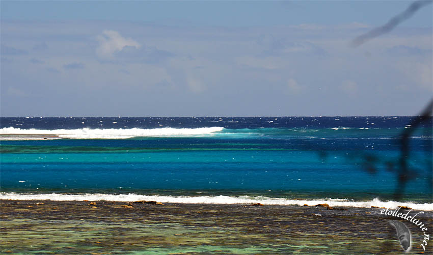 La vie en bleu lagon | L'Oasis de Nat : Un regard sur le monde du bout ...