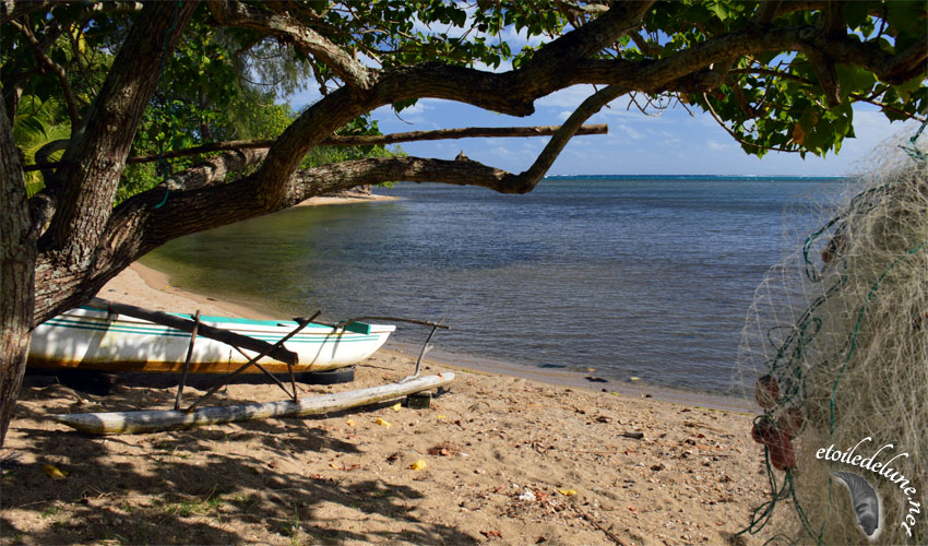 Haapiti, la paisible de Moorea | L'Oasis de Nat : Un regard sur le ...
