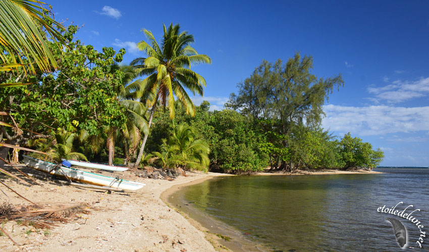 Haapiti, la paisible de Moorea | L'Oasis de Nat : Un regard sur le ...
