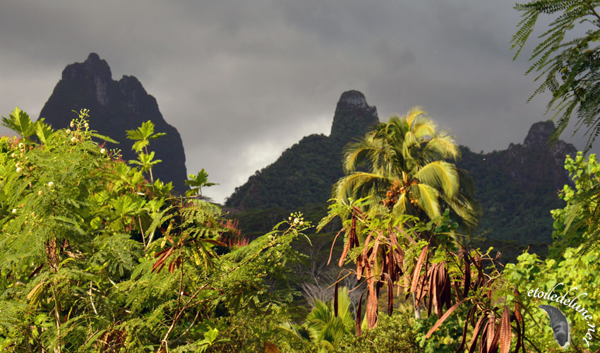 Haapiti, la paisible de Moorea | L'Oasis de Nat : Un regard sur le ...