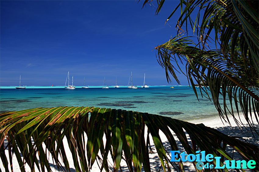 Matira, la piscine de rêve | L'Oasis de Nat : Un regard sur le monde du ...