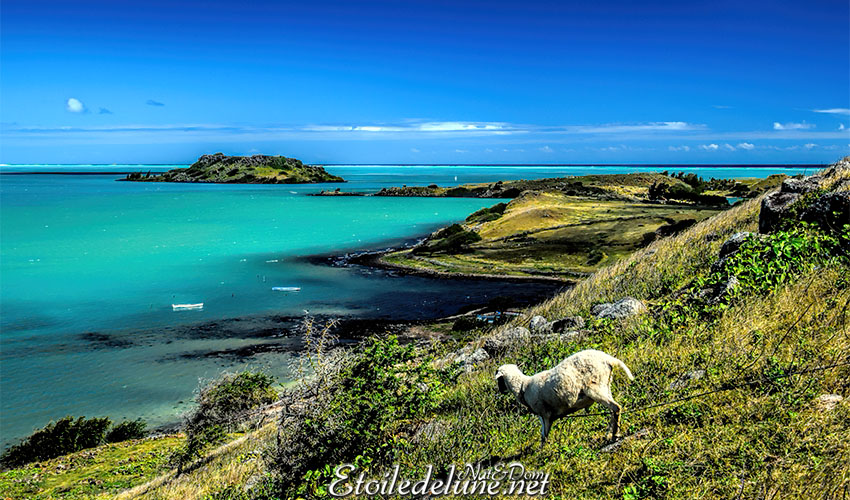 Rodrigues, la Baie Topaze | L'Oasis de Nat : Un regard sur le monde du ...