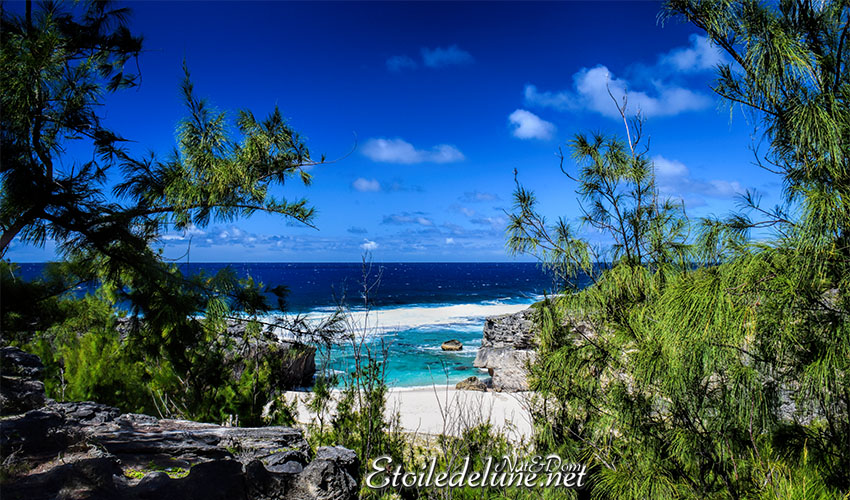 Rodrigues, côté plage | L'Oasis de Nat : Un regard sur le monde du bout ...