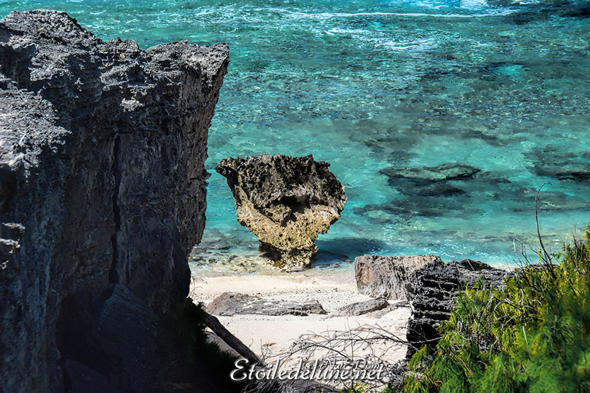 Rodrigues, couleurs lagon | L'Oasis de Nat : Un regard sur le monde du ...