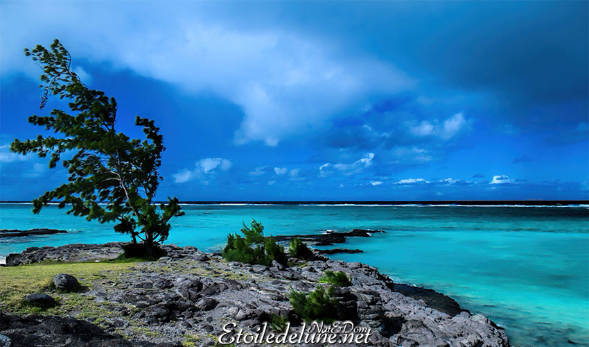 Rodrigues, couleurs lagon | L'Oasis de Nat : Un regard sur le monde du ...