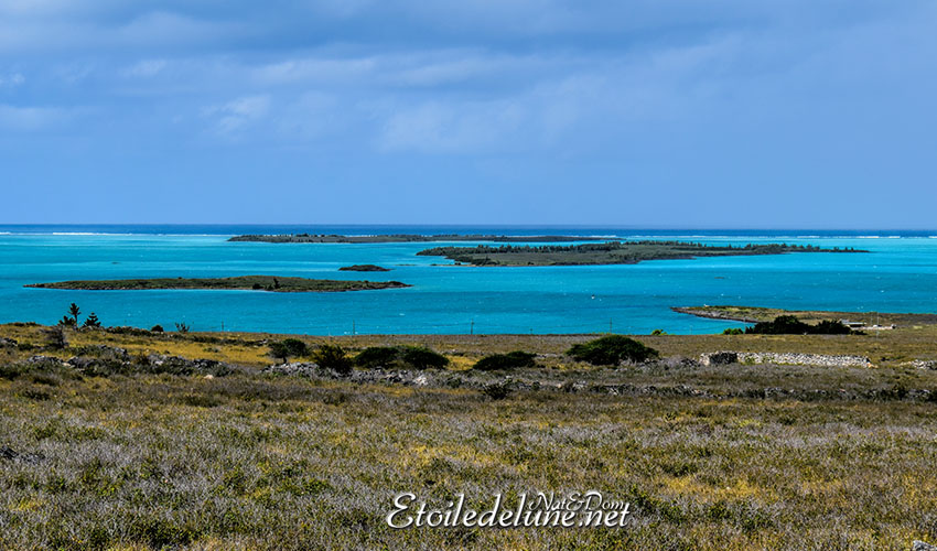 Rodrigues, Caverne Patate | L'Oasis de Nat : Un regard sur le monde du ...