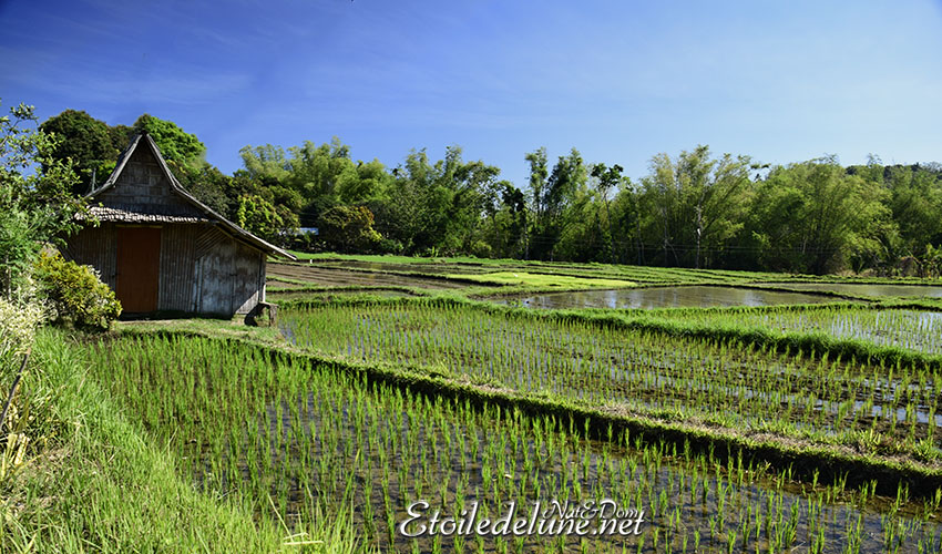 Balanan, le lac de la tranquillité | L'Oasis de Nat : Un regard sur le ...