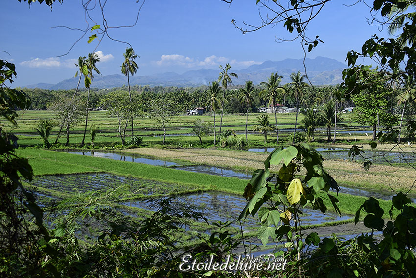 Balanan, le lac de la tranquillité | L'Oasis de Nat : Un regard sur le ...