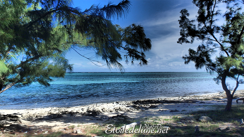 Rodrigues, bons plans et tourisme | L'Oasis de Nat : Un regard sur le ...