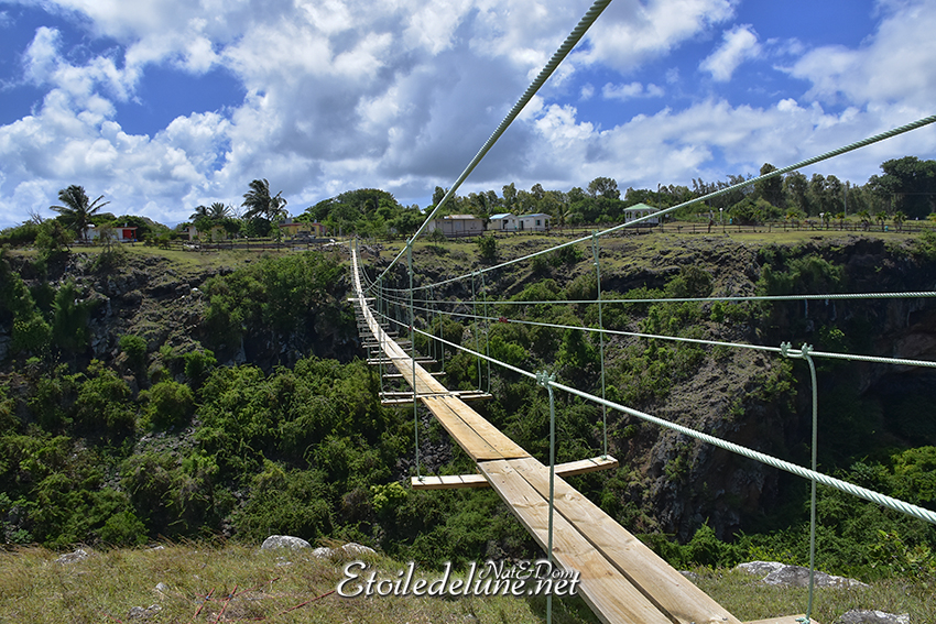 Les Tortues de Rodrigues, princesses au cou tendre | L'Oasis de Nat ...