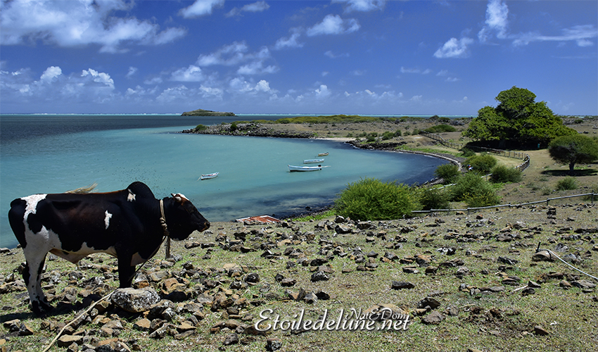 Une virée sur le lagon, (Rodrigues) | L'Oasis de Nat : Un regard sur le ...