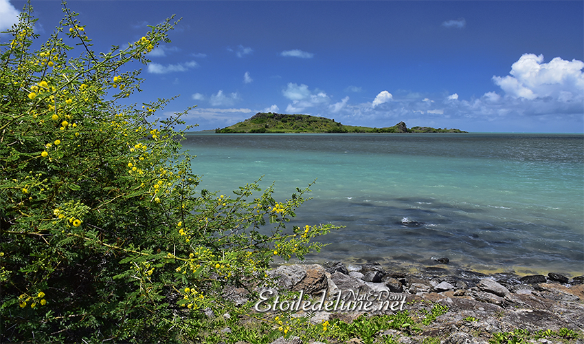 Une virée sur le lagon, (Rodrigues) | L'Oasis de Nat : Un regard sur le ...