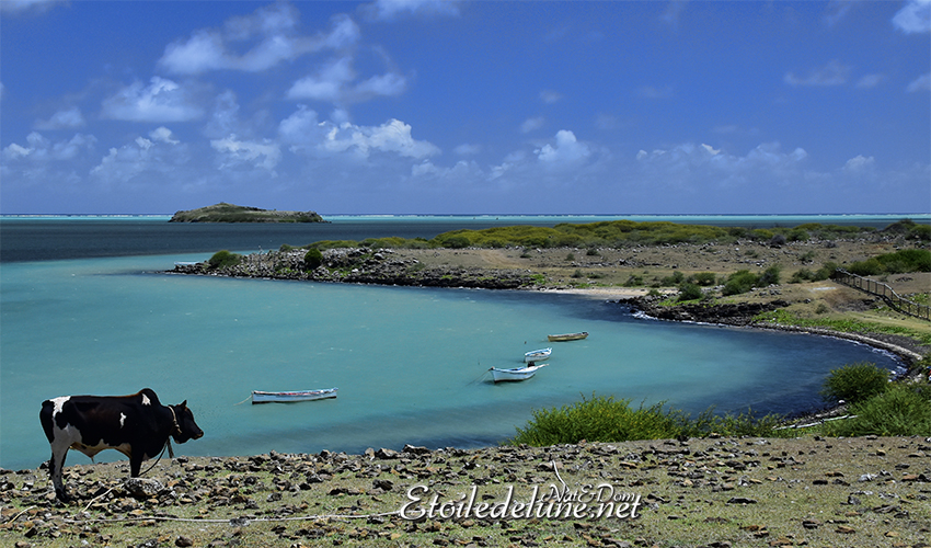 Une virée sur le lagon, (Rodrigues) | L'Oasis de Nat : Un regard sur le ...